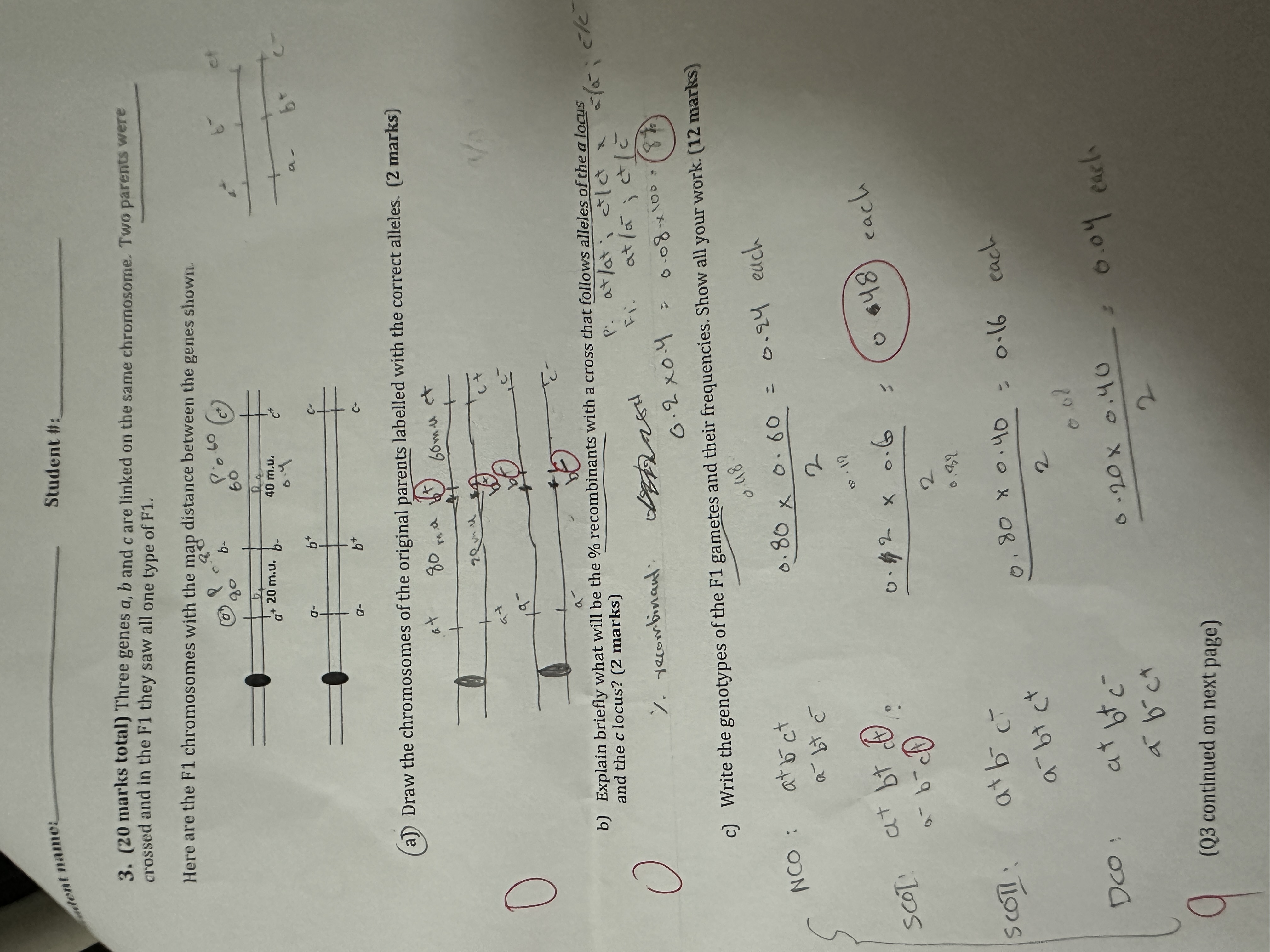 Solved 3. (20 marks total) Three genes \\( a, b \\) and \\( | Chegg.com