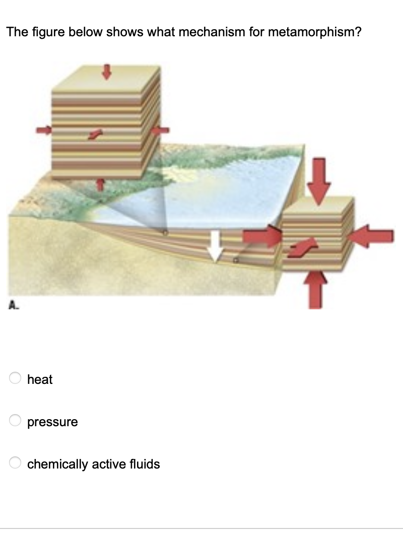 Solved The figure below shows what mechanism for | Chegg.com