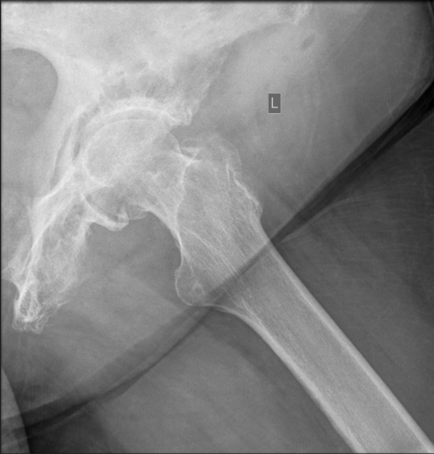Solved Please identify what is abnormal and normal with | Chegg.com