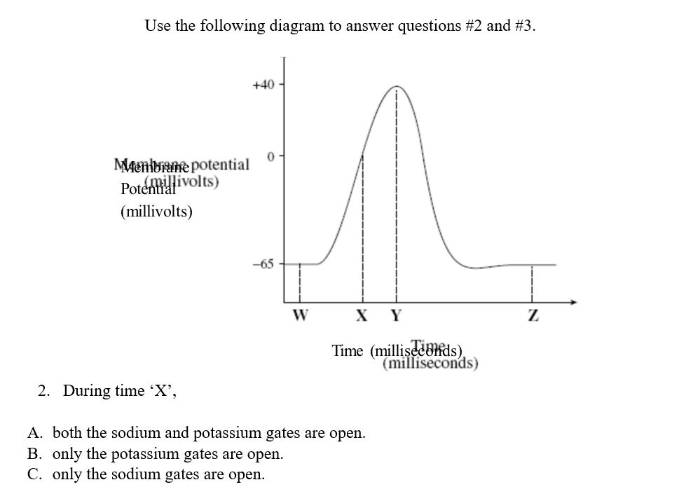 Solved Use the following diagram to answer questions #2 ﻿and | Chegg.com