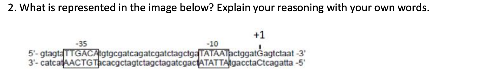 Solved What is represented in the image below? Explain your | Chegg.com