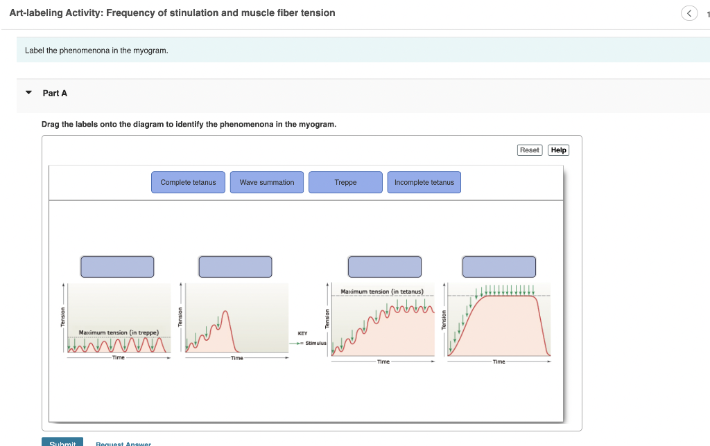 Solved Art-labeling Activity: Frequency of stinulation and | Chegg.com