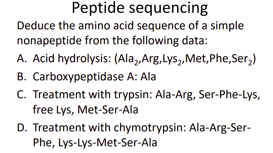 Solved Peptide sequencing Deduce the amino acid sequence of | Chegg.com
