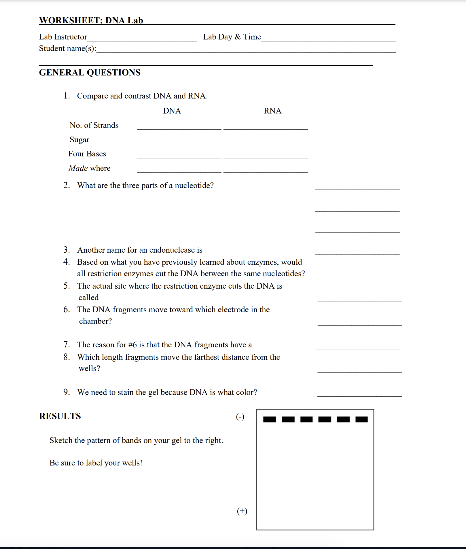 Solved 1. Compare and contrast DNA and RNA. 2. What are the | Chegg.com