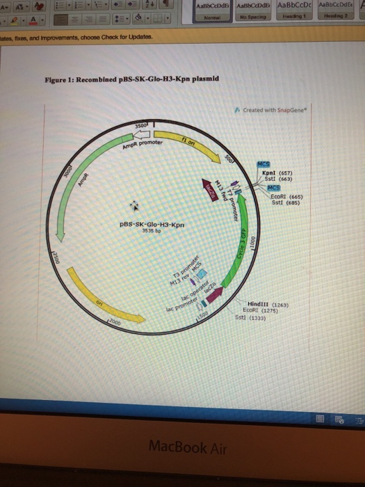Solved 8. Using the maps provided to you, develop a cloning | Chegg.com