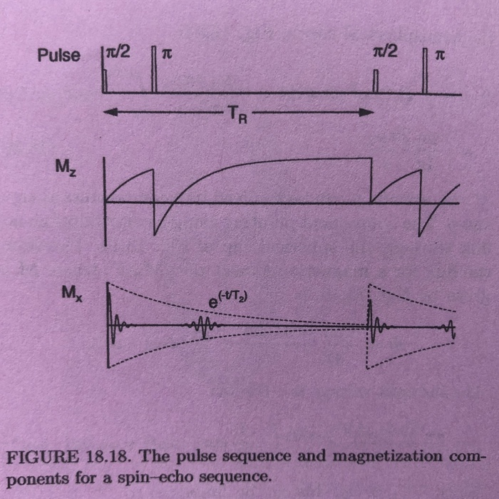 Solved . Problem 24 Consider a spin-echo pulse sequence | Chegg.com