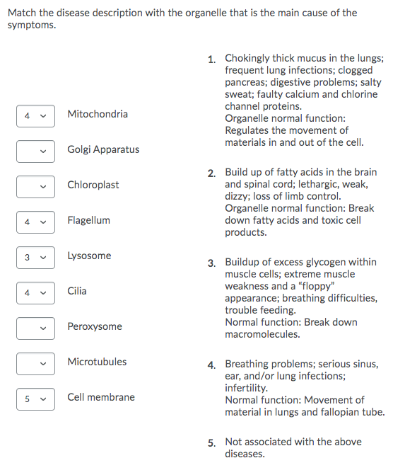 Solved Match the disease description with the organelle that | Chegg.com