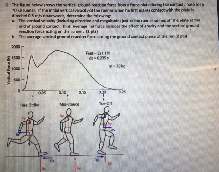 Solved The figure below shows the vertical ground reaction | Chegg.com