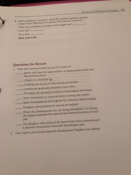 Solved Laboratory 10 Cell Division and Genetics 177 Refer to | Chegg.com