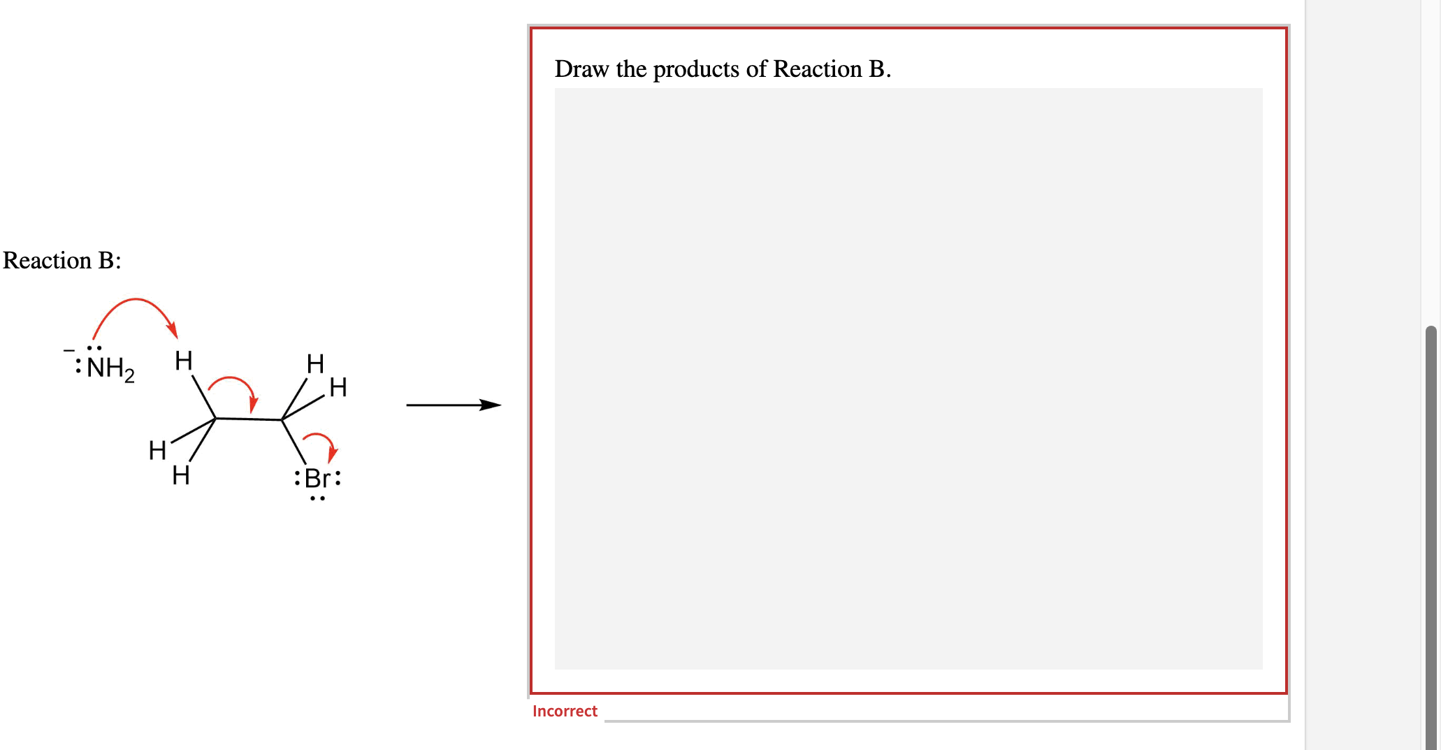 Solved Draw the products of Reaction B. ﻿F . n | Chegg.com