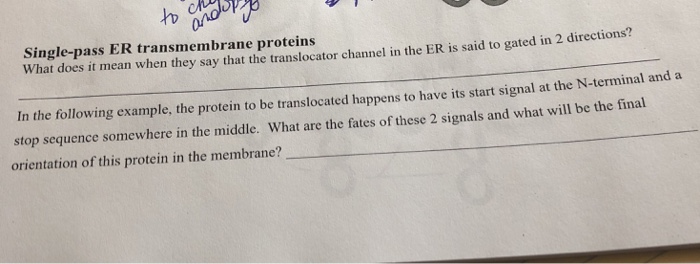 Solved Single-pass ER transmembrane proteins What does it | Chegg.com