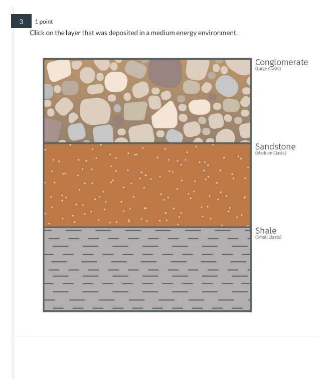 Solved Large clasts (rock fragments) in sedimentary rocks | Chegg.com