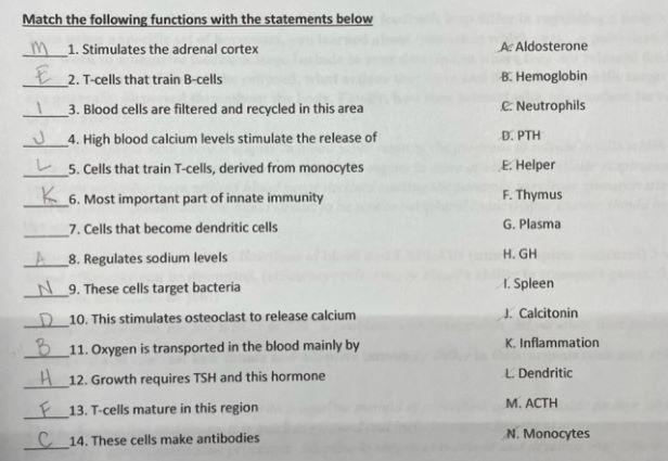 Solved Match the following functions with the statements | Chegg.com