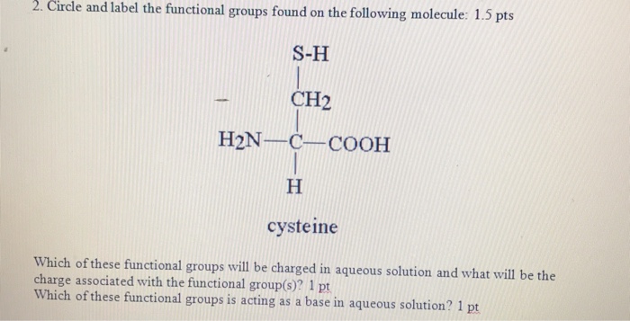 Solved 2. Circle and label the functional groups found on | Chegg.com