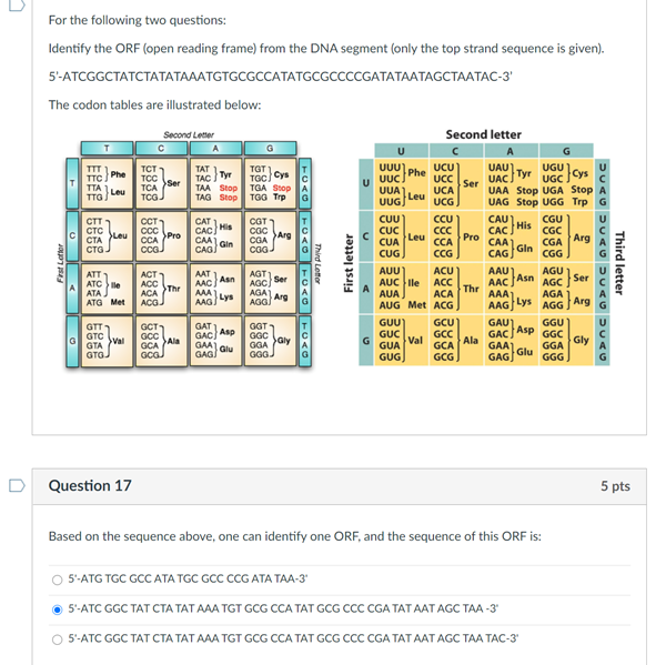 Solved For the following two questions: Identify the ORF | Chegg.com
