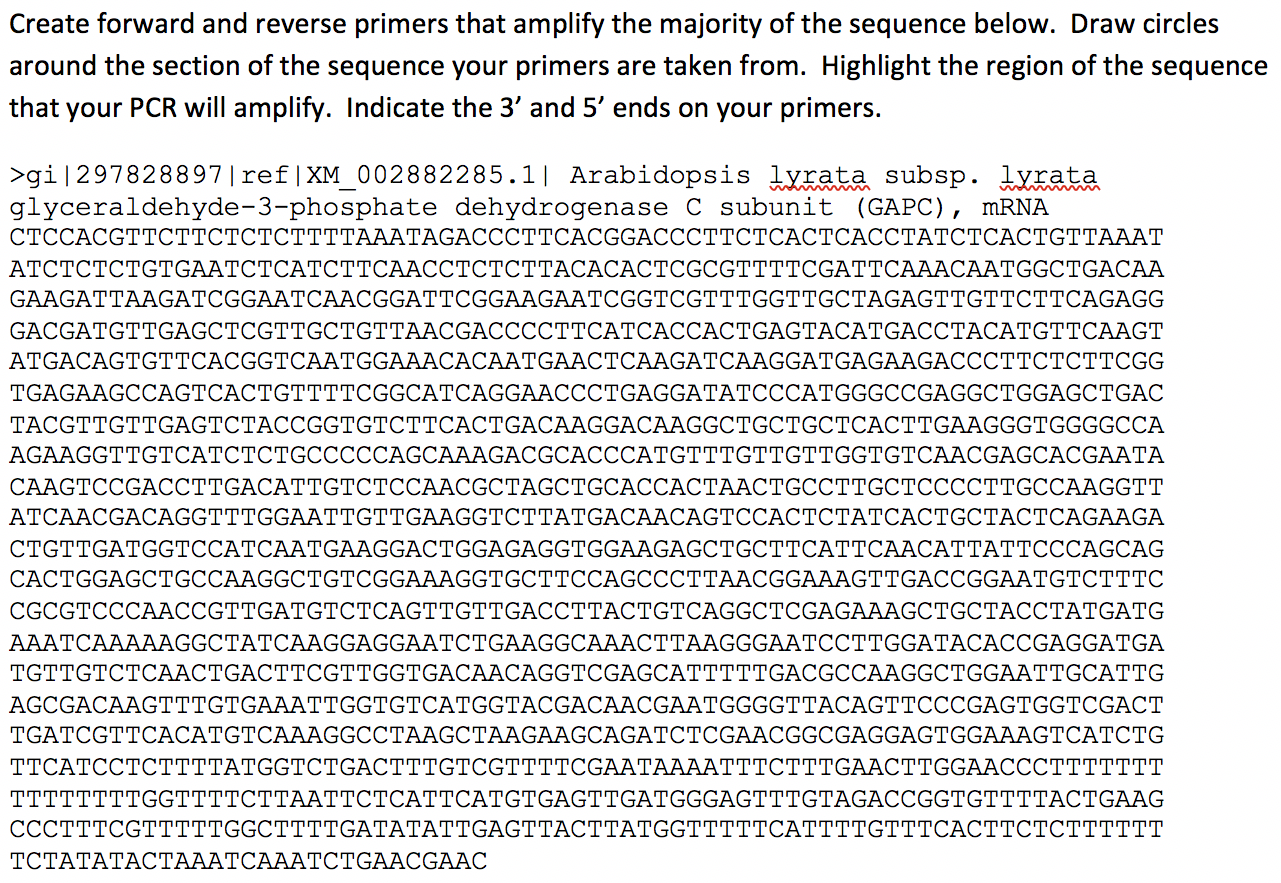 Solved Create forward and reverse primers that amplify the | Chegg.com
