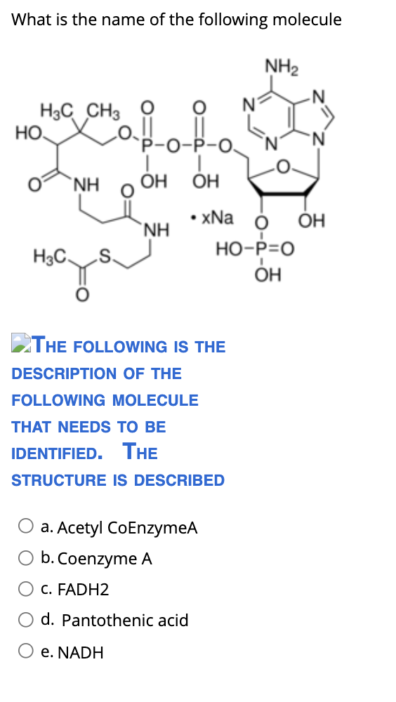 Solved What is the name of the following molecule NH2 H3 C | Chegg.com