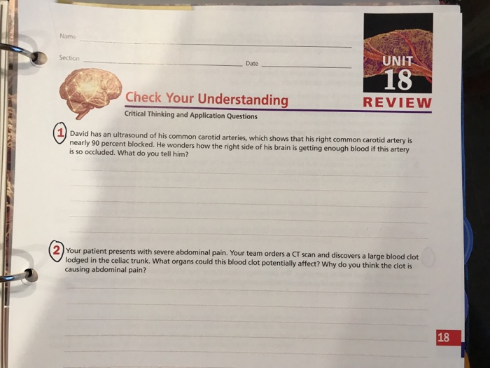 Solved Name UNIT Section Date 18 Check Your Understanding | Chegg.com