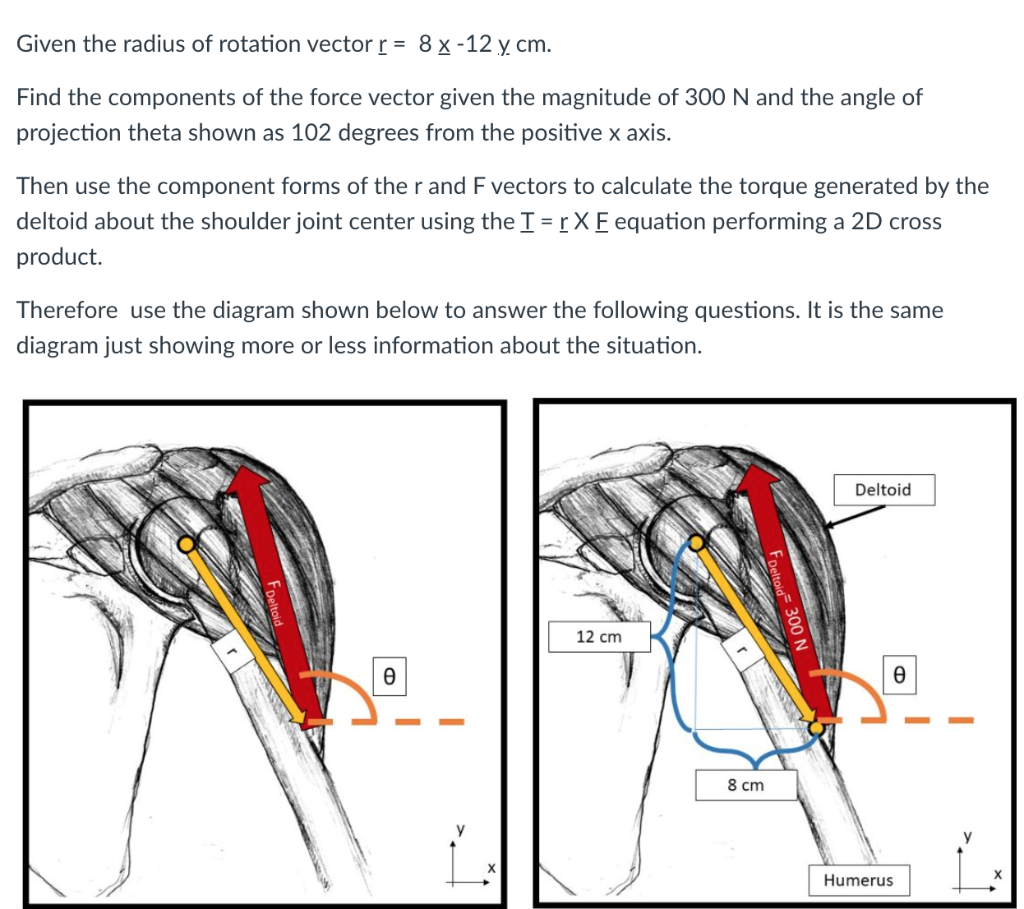 Solved What is the x component of the force vector of the | Chegg.com