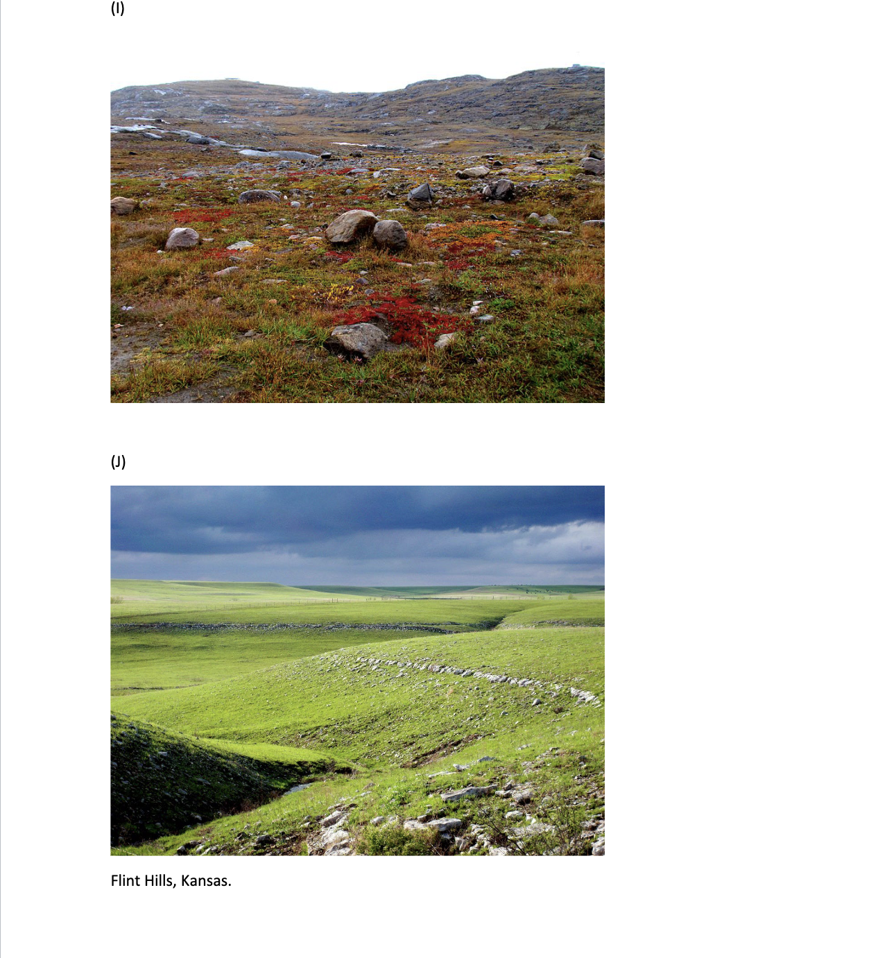 Correct answers only, please. | Chegg.com