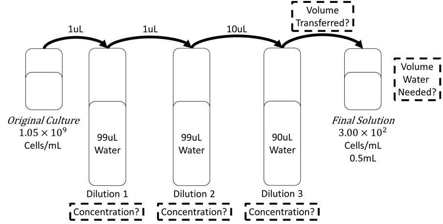 Solved You perform the dilutions depicted in the dilution | Chegg.com