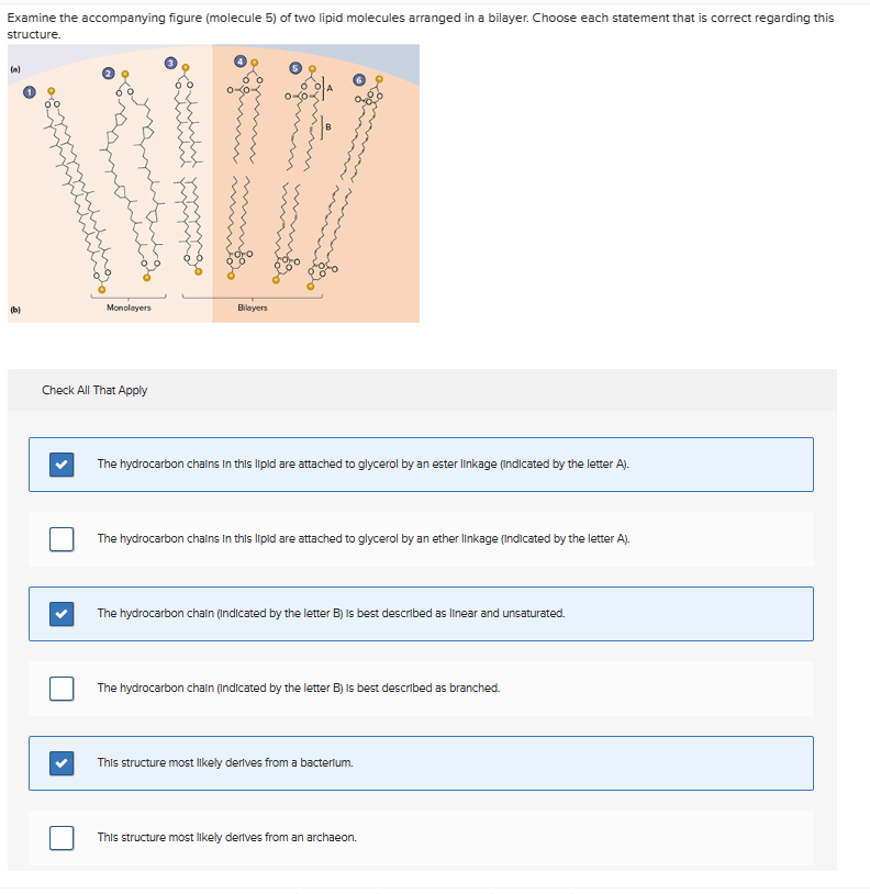Solved Examine the accompanying figure (molecule 5) of two | Chegg.com