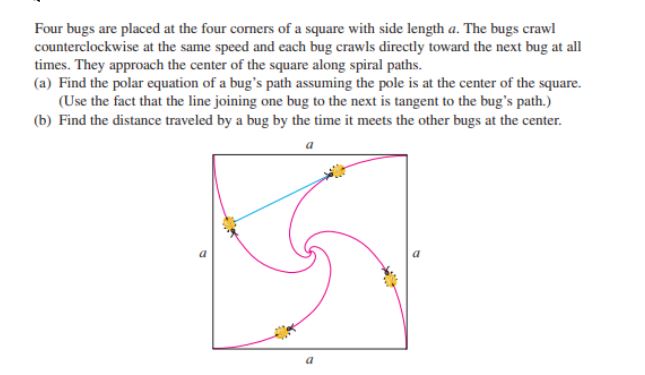 Solved Four bugs are placed at the four corners of a square | Chegg.com