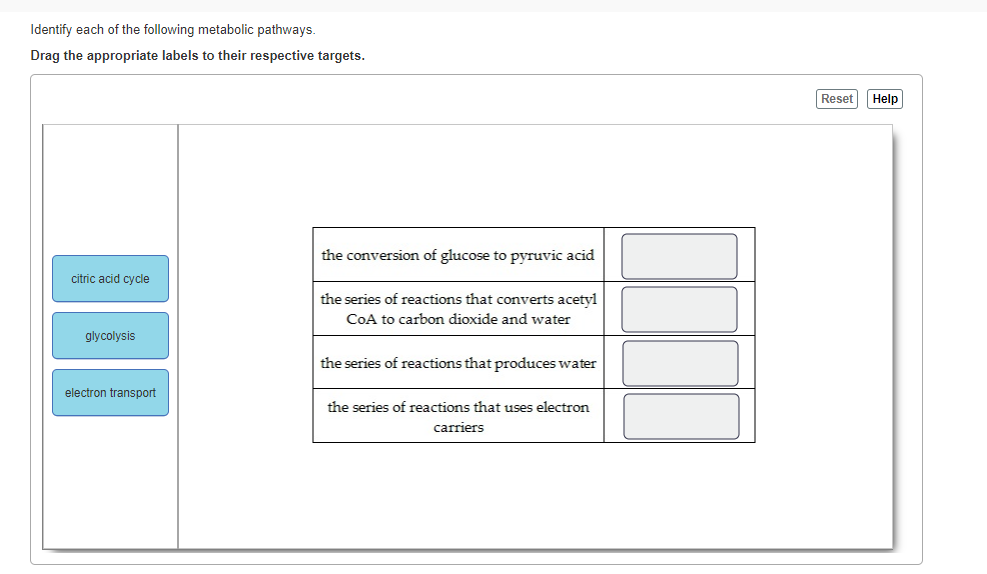 Solved Identify each of the following metabolic pathways. | Chegg.com