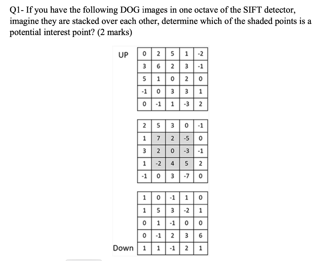 Solved Q1- If you have the following DOG images in one | Chegg.com