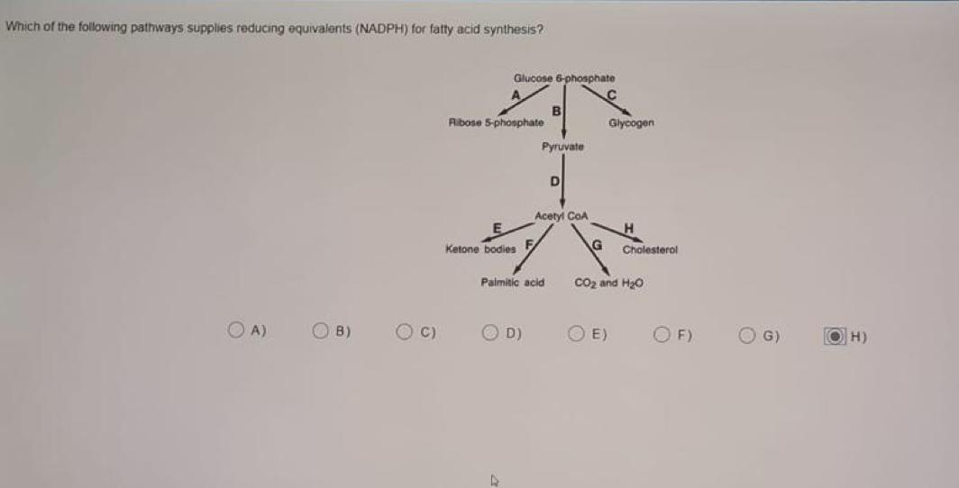 Solved Which of the following pathways supplies reducing | Chegg.com