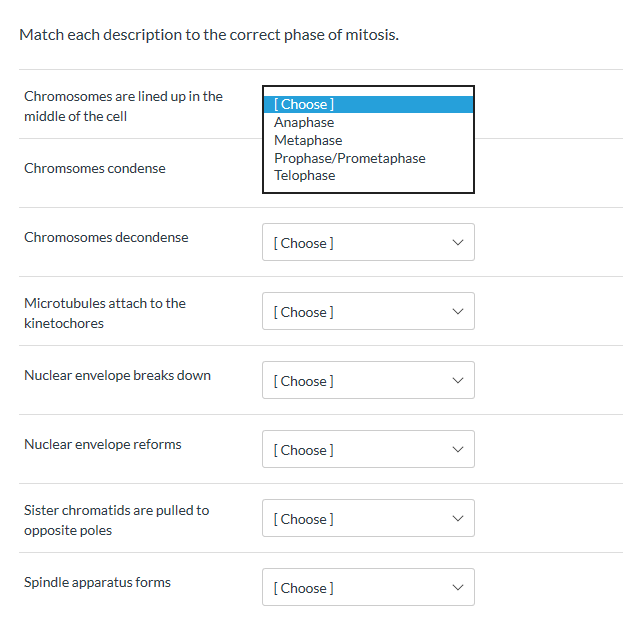 Solved Match each description to the correct phase of | Chegg.com