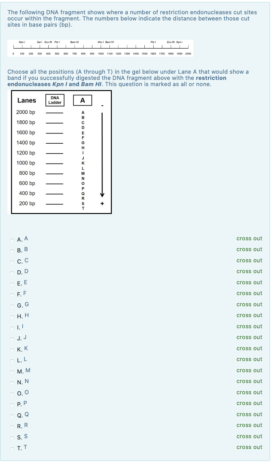 Solved Choose all the positions (A through T) in the gel | Chegg.com