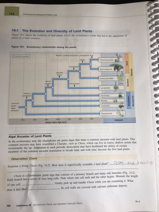 Solved Contemporary Biological Problems Lab 14.1 The | Chegg.com