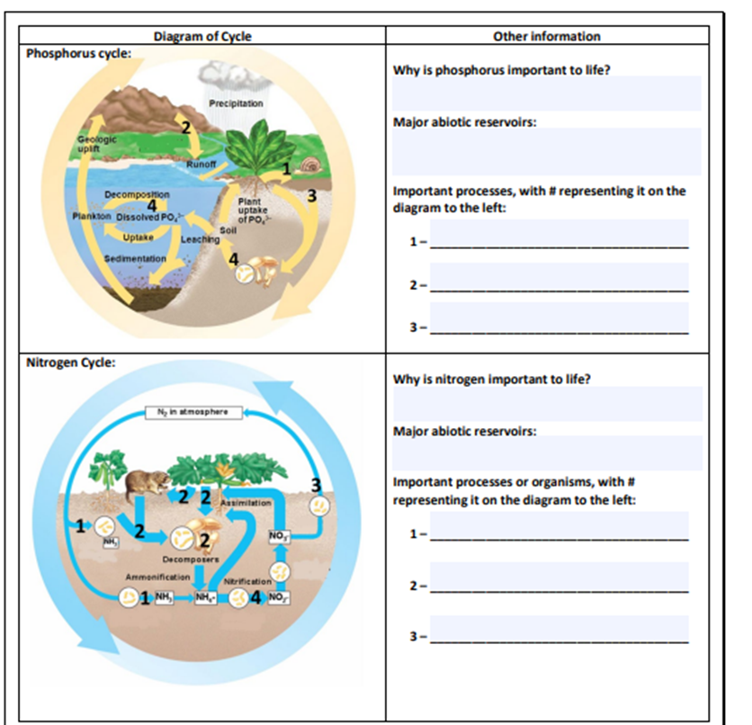 Solved A) Species interactions are defined by their effect | Chegg.com