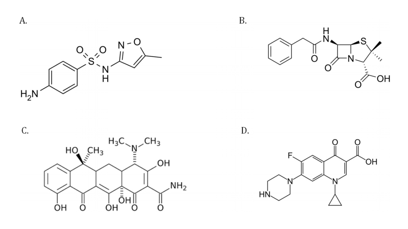 Solved Zoom into one of the -OH groups on Molecule C. | Chegg.com