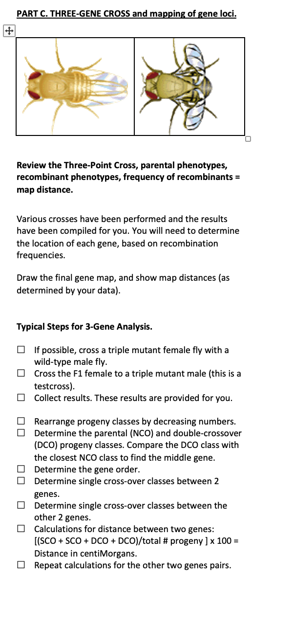 Solved PART C. THREE-GENE CROSS and mapping of gene loci. | Chegg.com