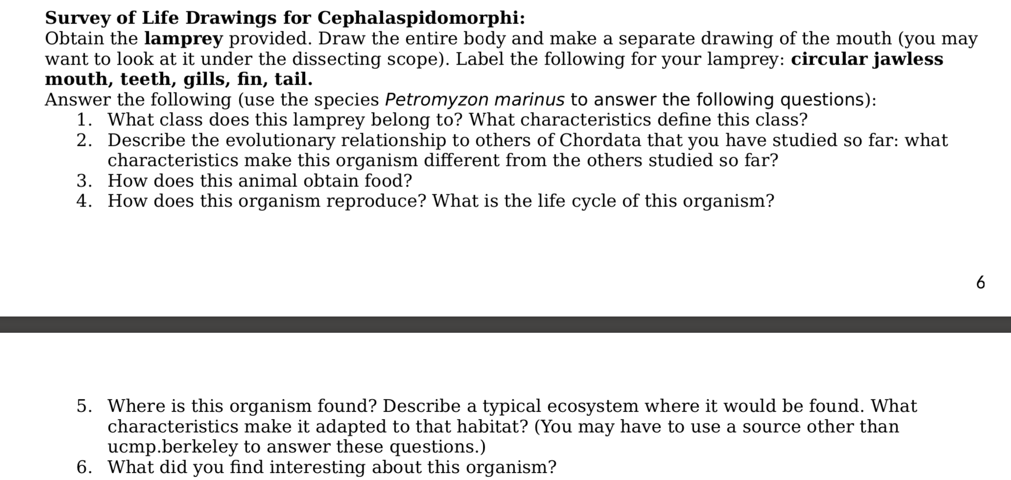 Solved Survey of Life Drawings for Cephalaspidomorphi: | Chegg.com ...
