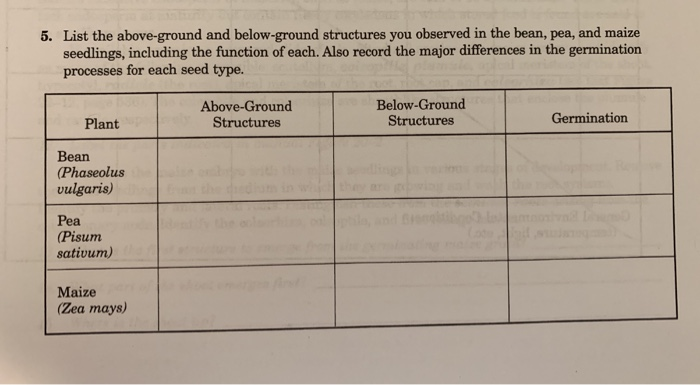 Solved 6. List the above-ground and below-ground structures | Chegg.com