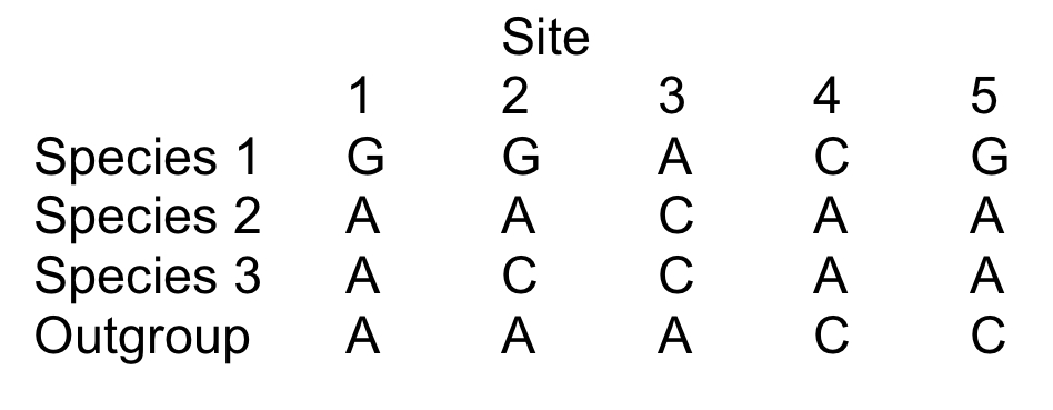 Solved What is the most parsimonious phylogentic tree given | Chegg.com