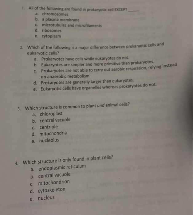 Solved 1. All of the following are found in prokaryotic cell | Chegg.com
