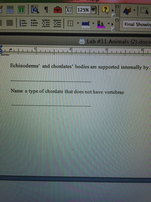 Solved Lab #11 Animals (2).docx Echinoderms' and chordates' | Chegg.com