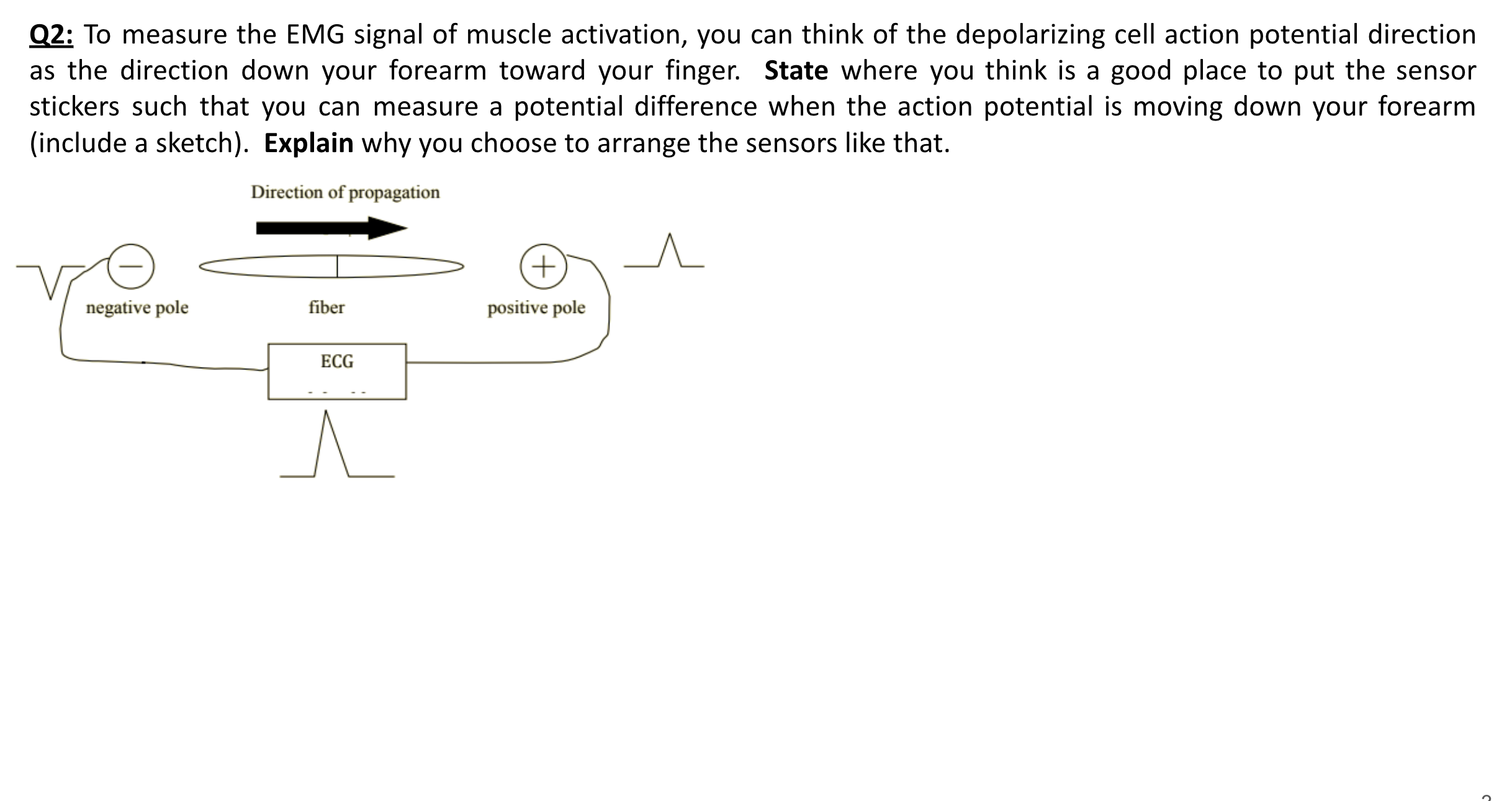 Solved Q2: To measure the EMG signal of muscle activation, | Chegg.com