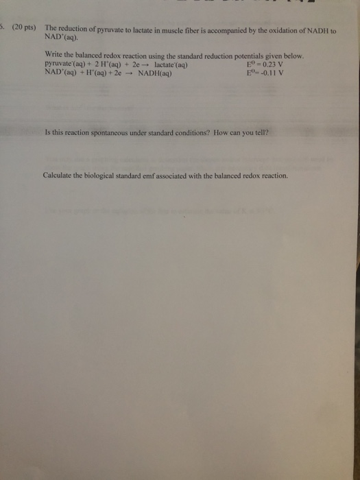 Solved 20 Pts The Reduction Of Pyruvate To Lactate In