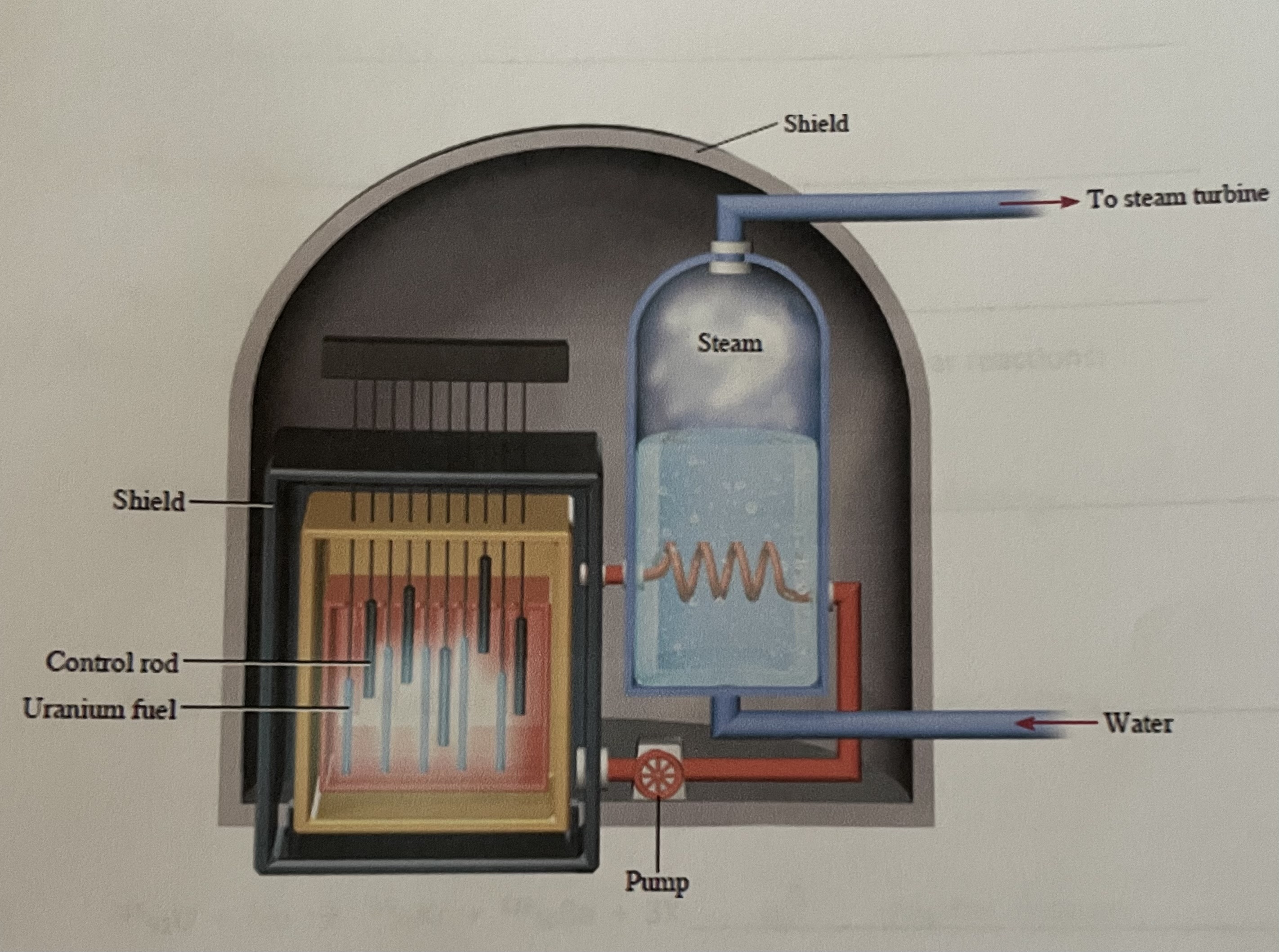 Solved Using the diagram of the light water reactor, briefly | Chegg.com