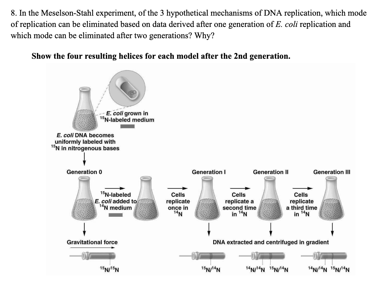Solved 8. In the Meselson-Stahl experiment, of the 3 | Chegg.com