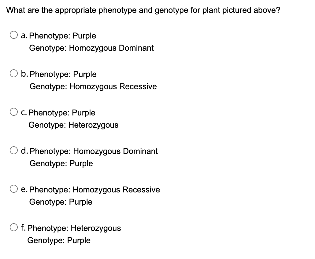 Solved What are the appropriate phenotype and genotype for | Chegg.com
