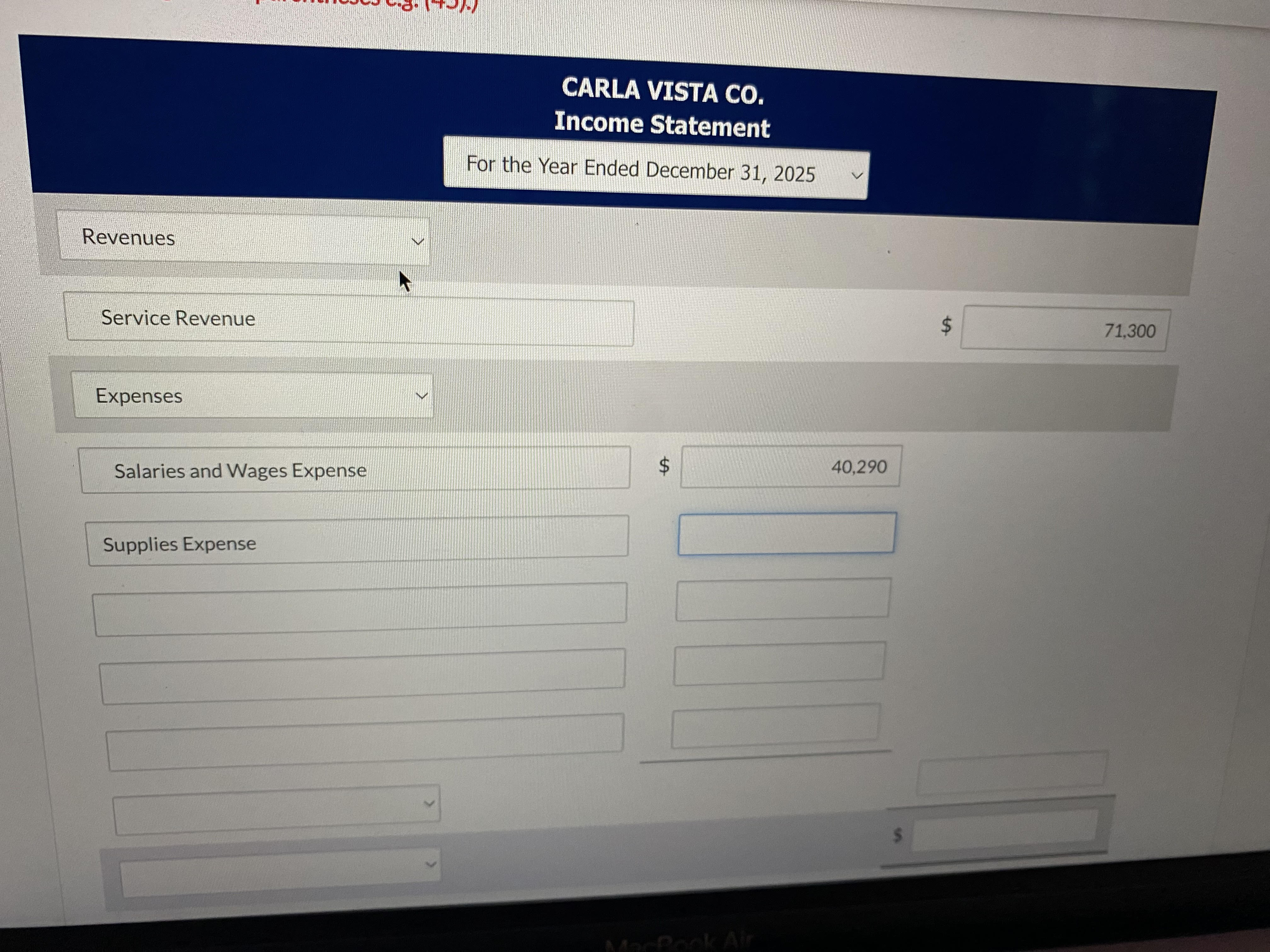 CARLA VISTA CO.Income StatementFor the Year Ended | Chegg.com