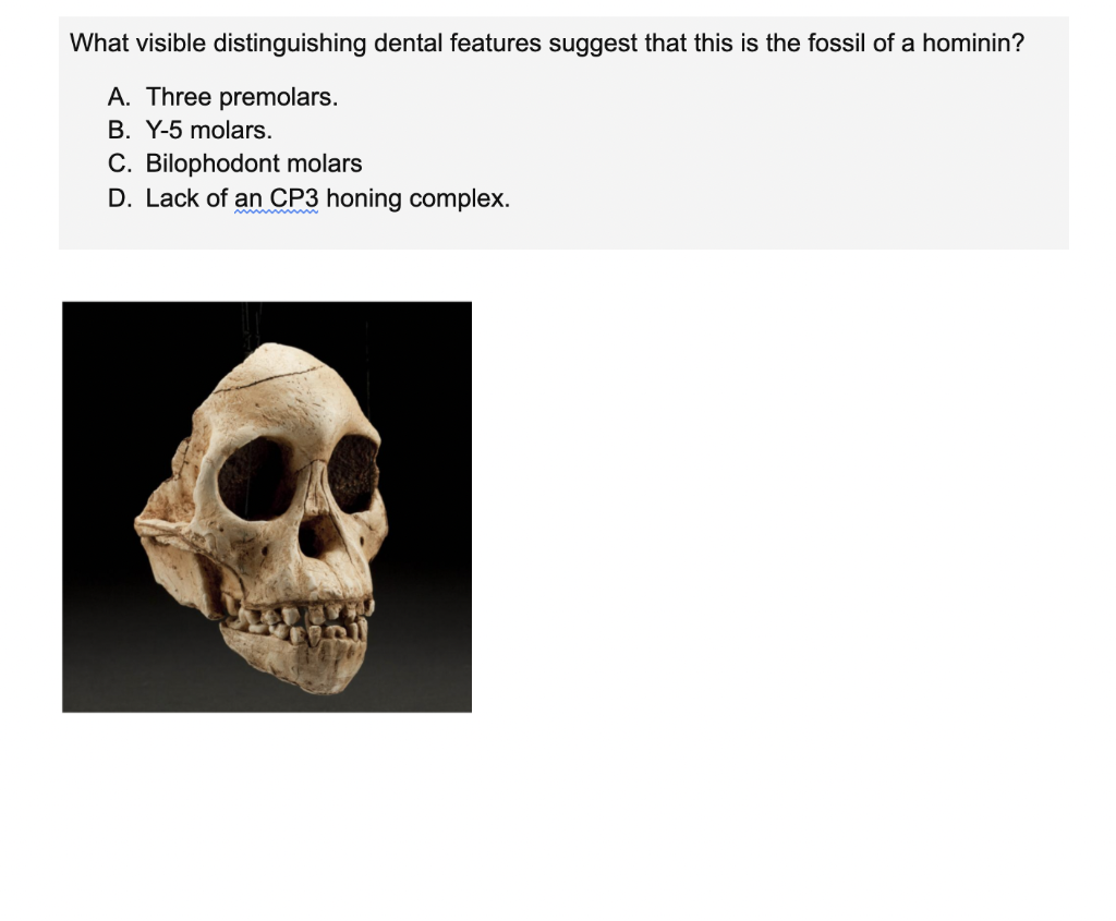 Solved What visible distinguishing dental features suggest | Chegg.com