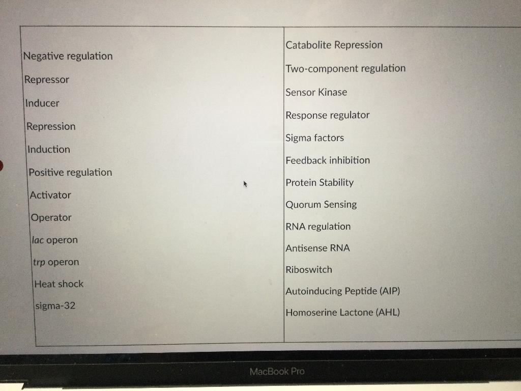 Solved Catabolite Repression Negative regulation | Chegg.com