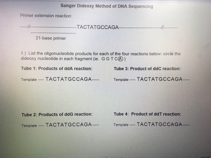 Solved Sanger Dideoxy Method of DNA Sequencing Primer | Chegg.com
